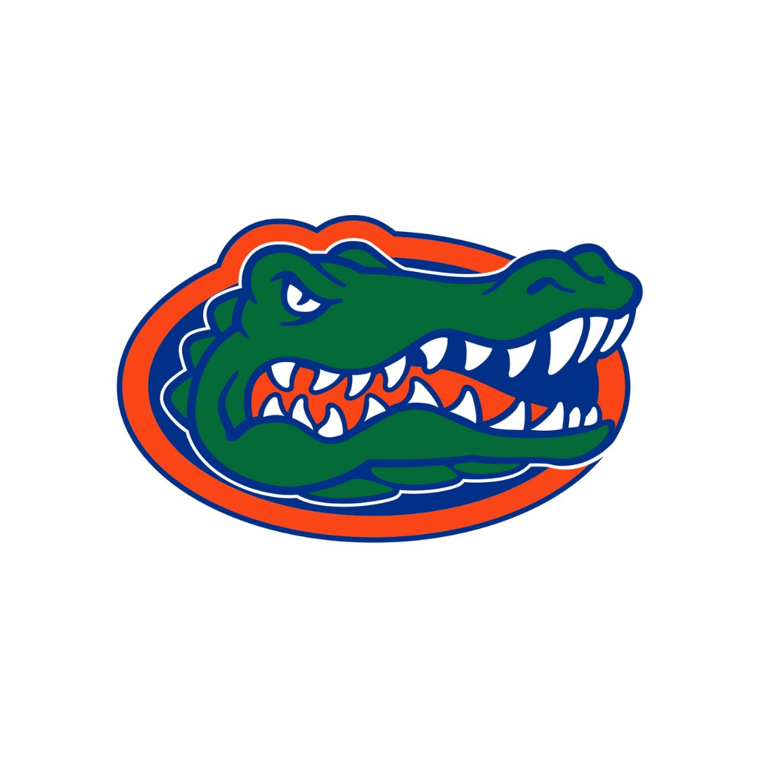 Florida Gators Headbands, Earrings & Gameday Accessories - Brianna Cannon